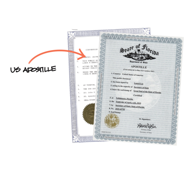 U.S. Document Apostille: Free Screening Across All US States!